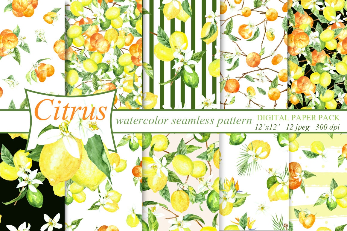 Citrus Digital Paper, Lemon , Orange, Limes. Watercolor Citrus Fruits ...