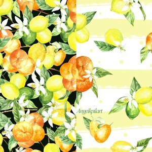 Citrus Digital Paper, Lemon , Orange, Limes. Watercolor Citrus Fruits ...