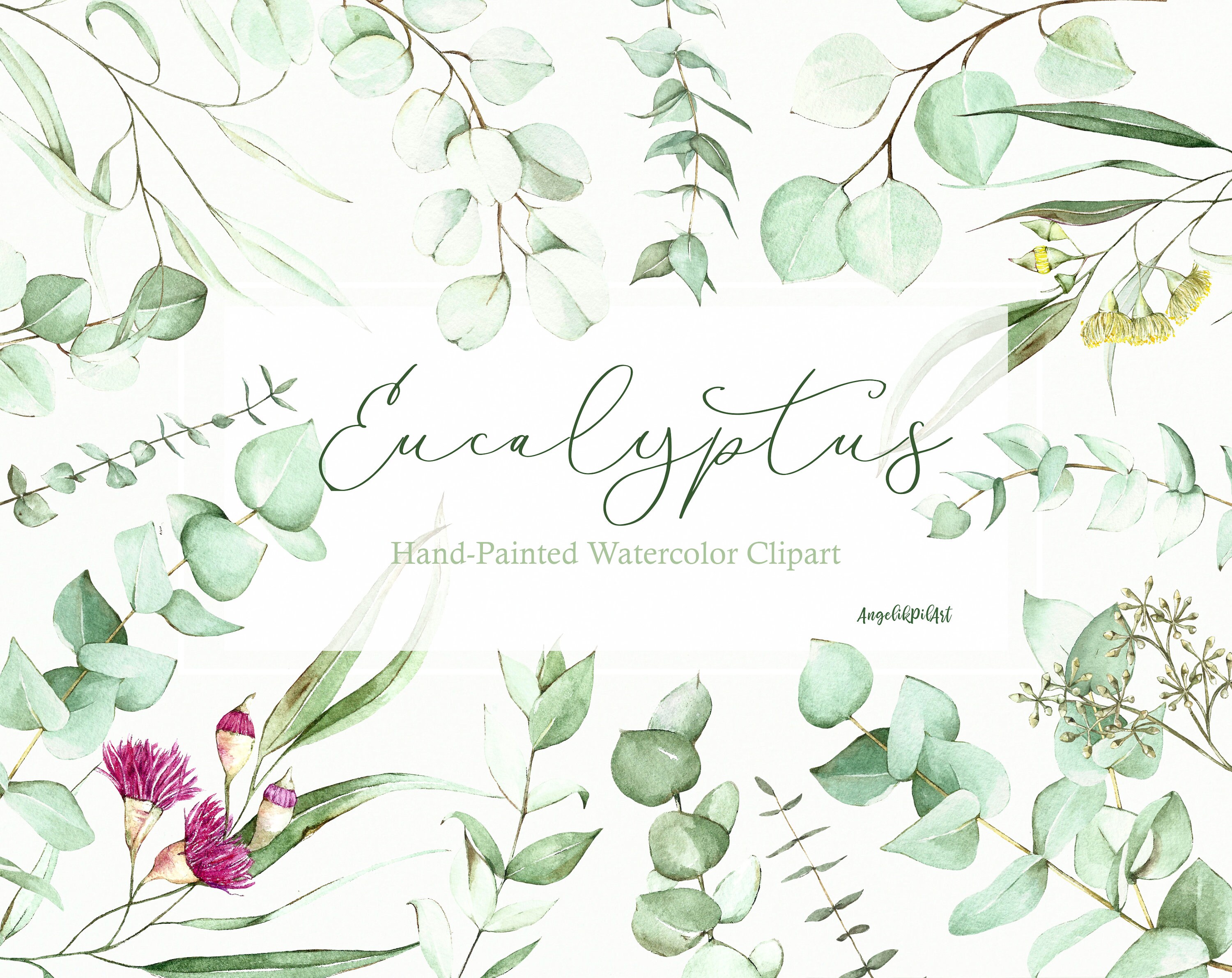 Eucalyptus Watercolor Clipart. Individual Elements Png. Green Leaves ...