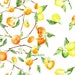 Citrus Digital Paper, Lemon , Orange, Limes. Watercolor Citrus Fruits ...