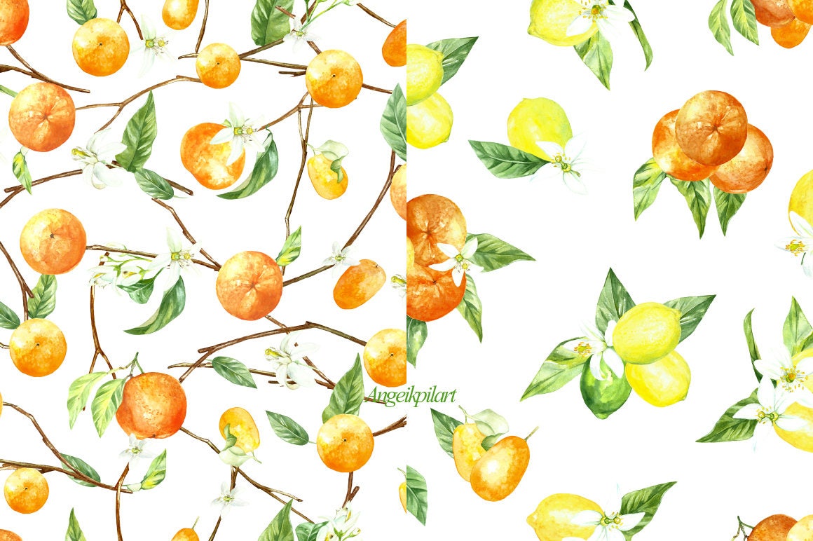 Citrus Digital Paper, Lemon , Orange, Limes. Watercolor Citrus Fruits ...