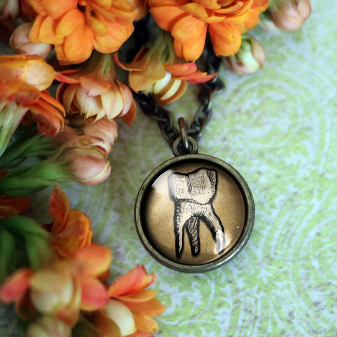Human Tooth Simple Reversible Molar Pendant Necklace - Etsy