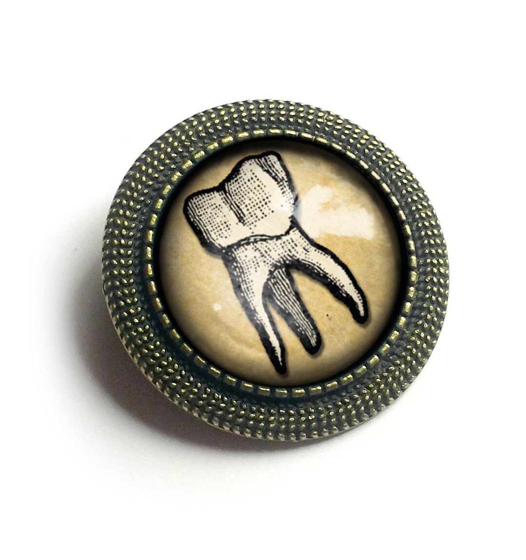 Human Tooth Vintage Inspired Pin Brooch - Etsy