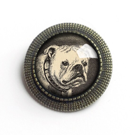 English Bulldog Vintage Inspired Pin Brooch | Etsy