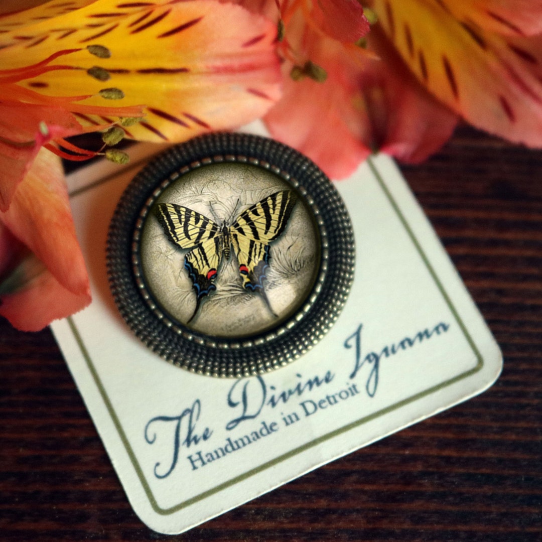 Swallowtail Butterfly Vintage Inspired Pin Brooch - Etsy