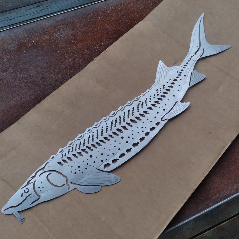 Wall Art Beautiful Fish Sturgeon Art Stainless Steel Sculpture Outdoor ...