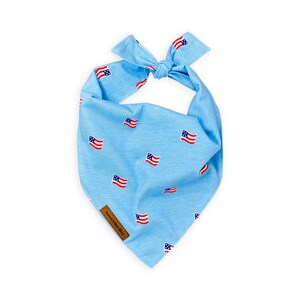 Personalized Fourth of July Dog Bandana, Olympics Dog Bandana, Team USA ...