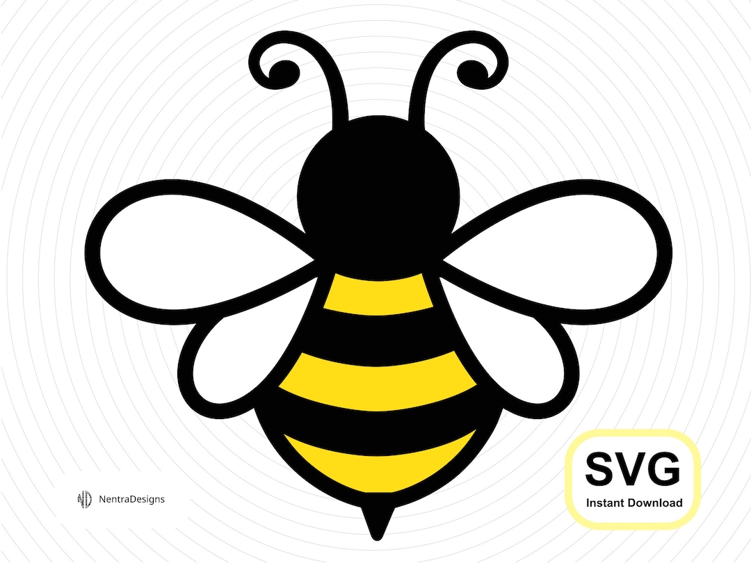 Cute Bee SVG on Clear Background, Bumblebee, Honeybee, Iron on Shirt ...