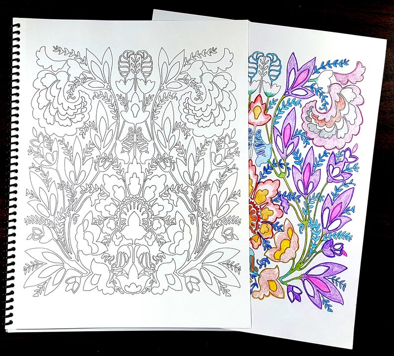 An Eclectic Coloring Book for Everyone Volume Two, Adult Coloring Book ...