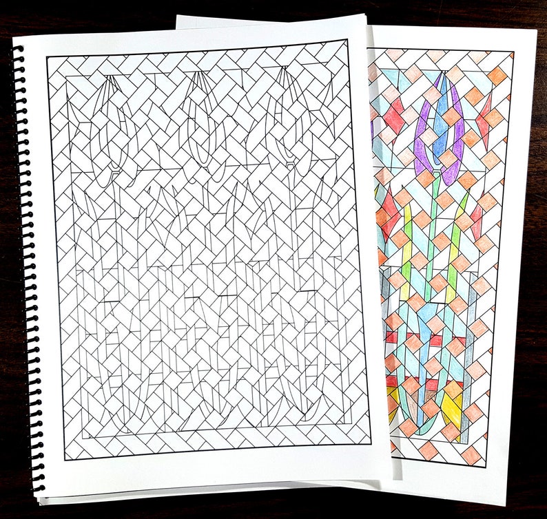 Spiral Bound Eclectic Coloring Book for Everyone, Adults and Kids 32 ...