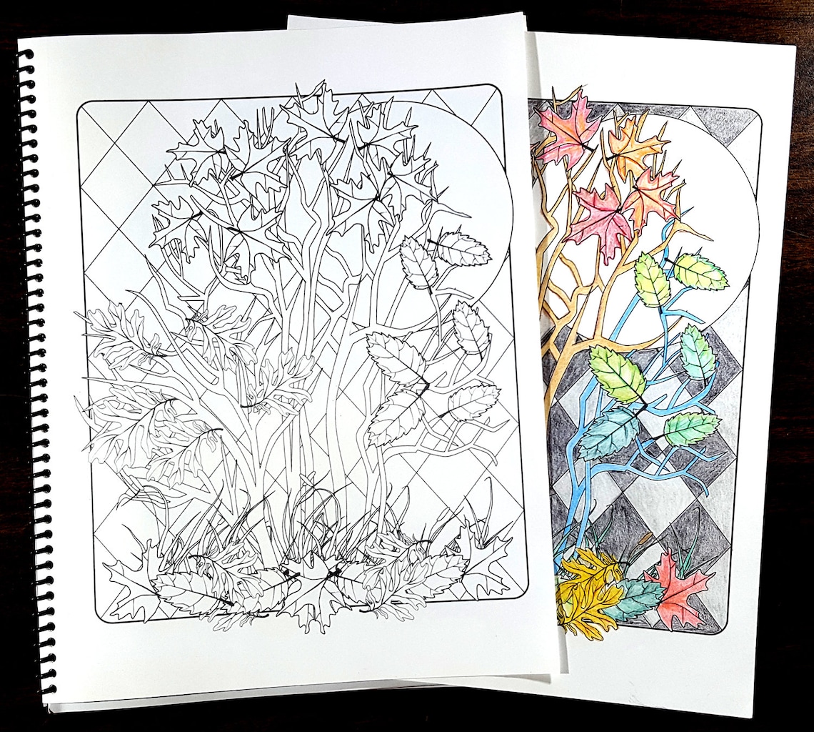 Spiral Bound Eclectic Coloring Book for Everyone Adults and - Etsy