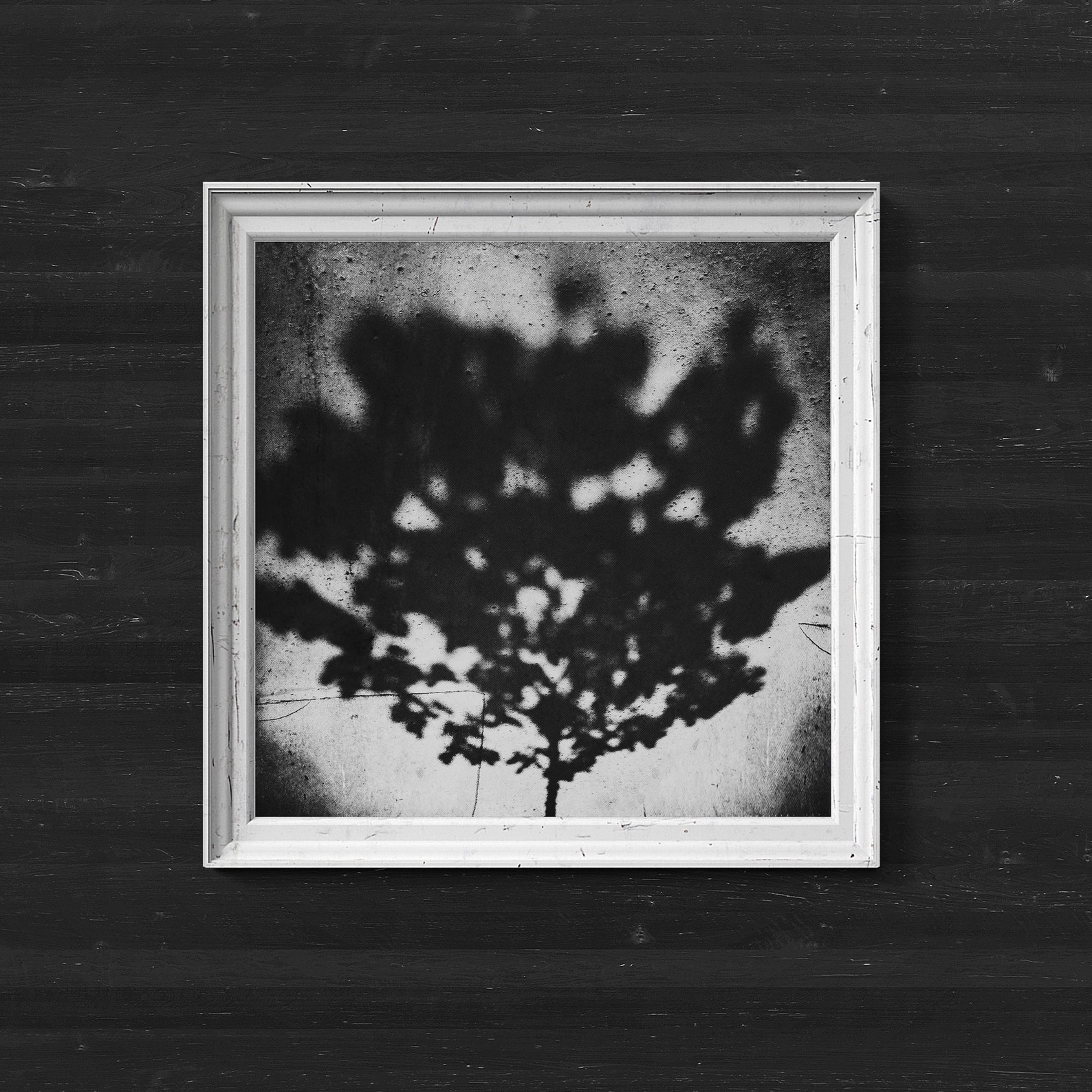black-and-white-fine-art-photography-abstract-wall-art-film-etsy