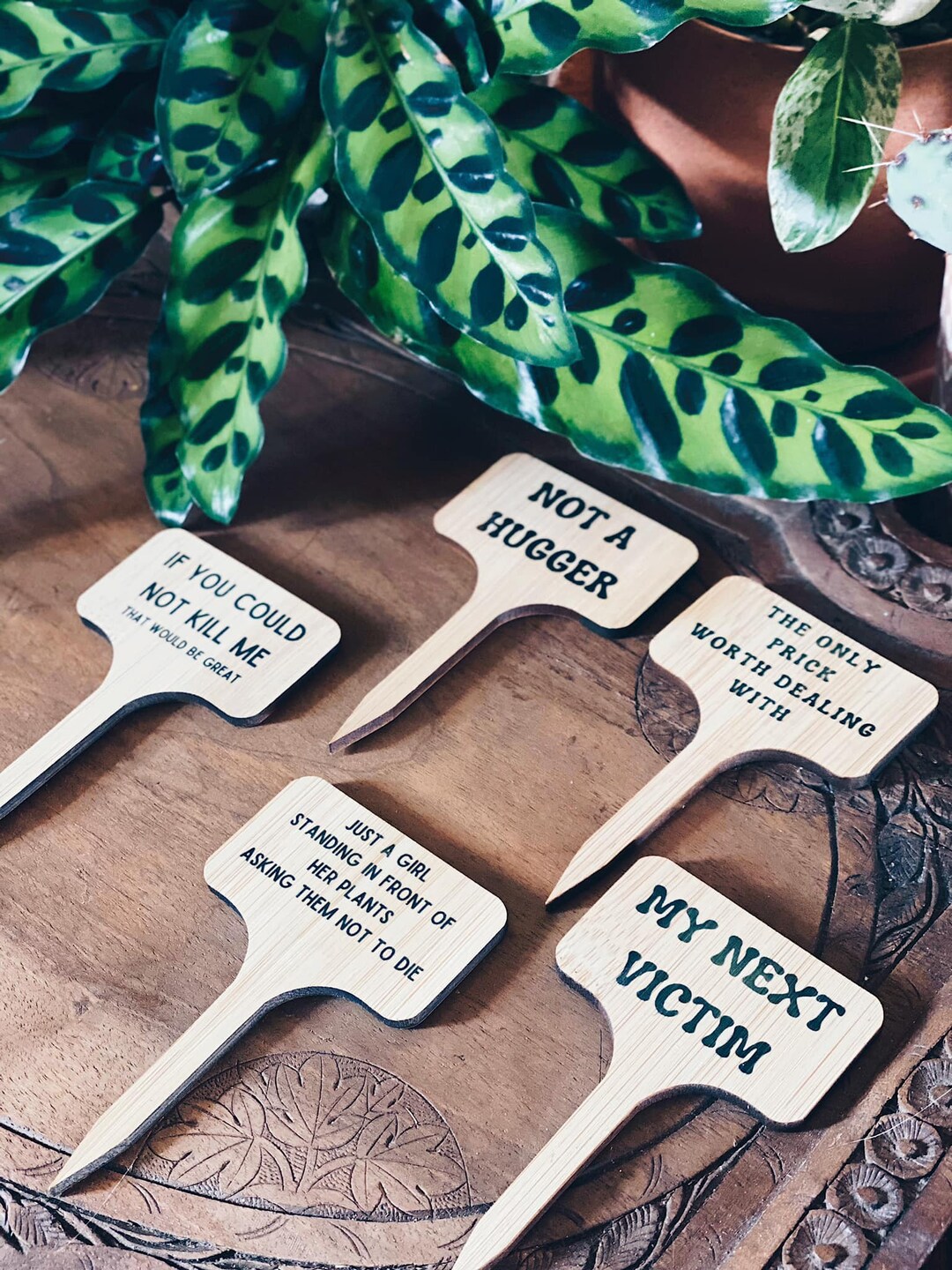 Plant Stake Set of 5; Wood Plant Stakes; Plant Decor; Indoor Plants ...