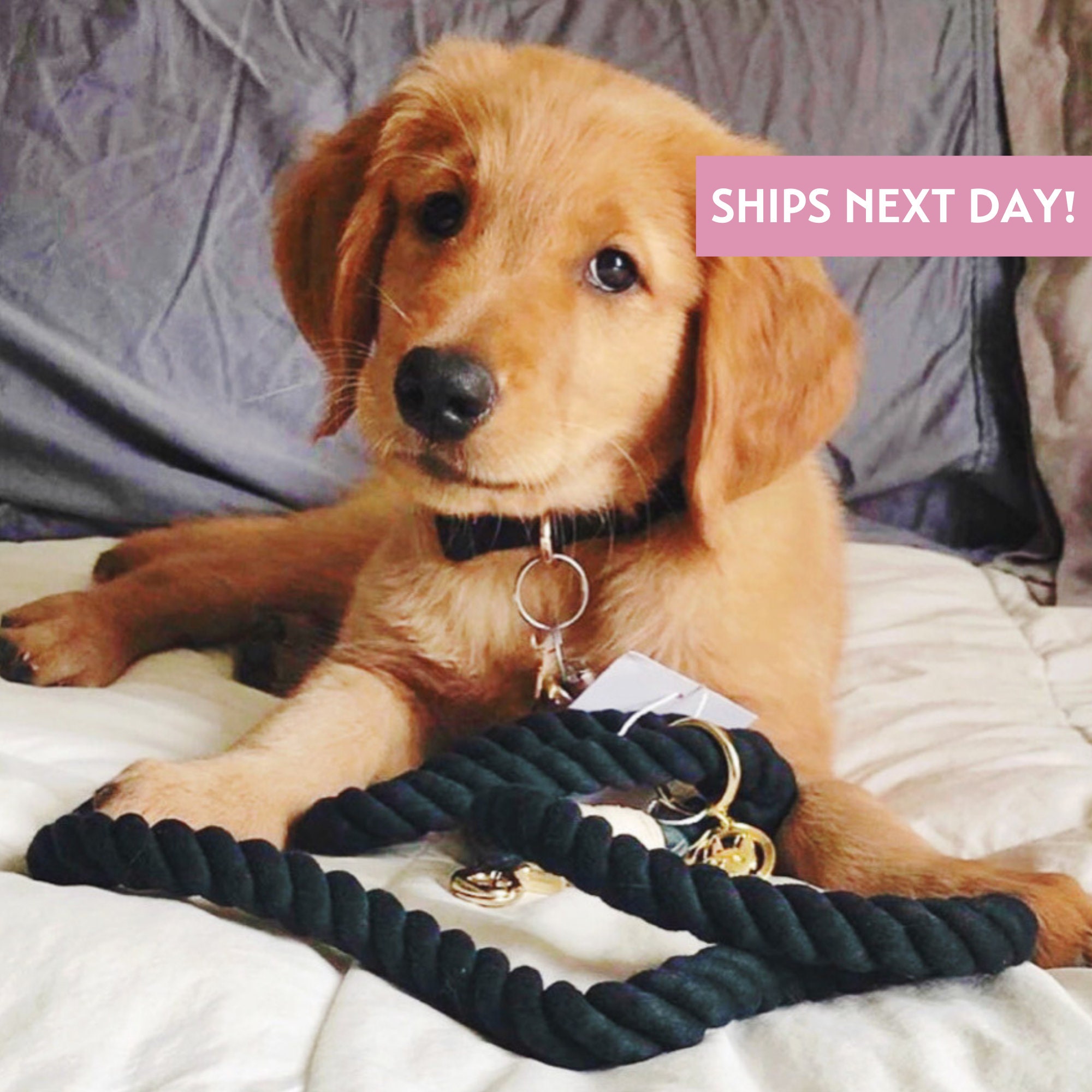 Black Rope Leash Durable Dog Leash Lightweight Dog Leash - Etsy.de