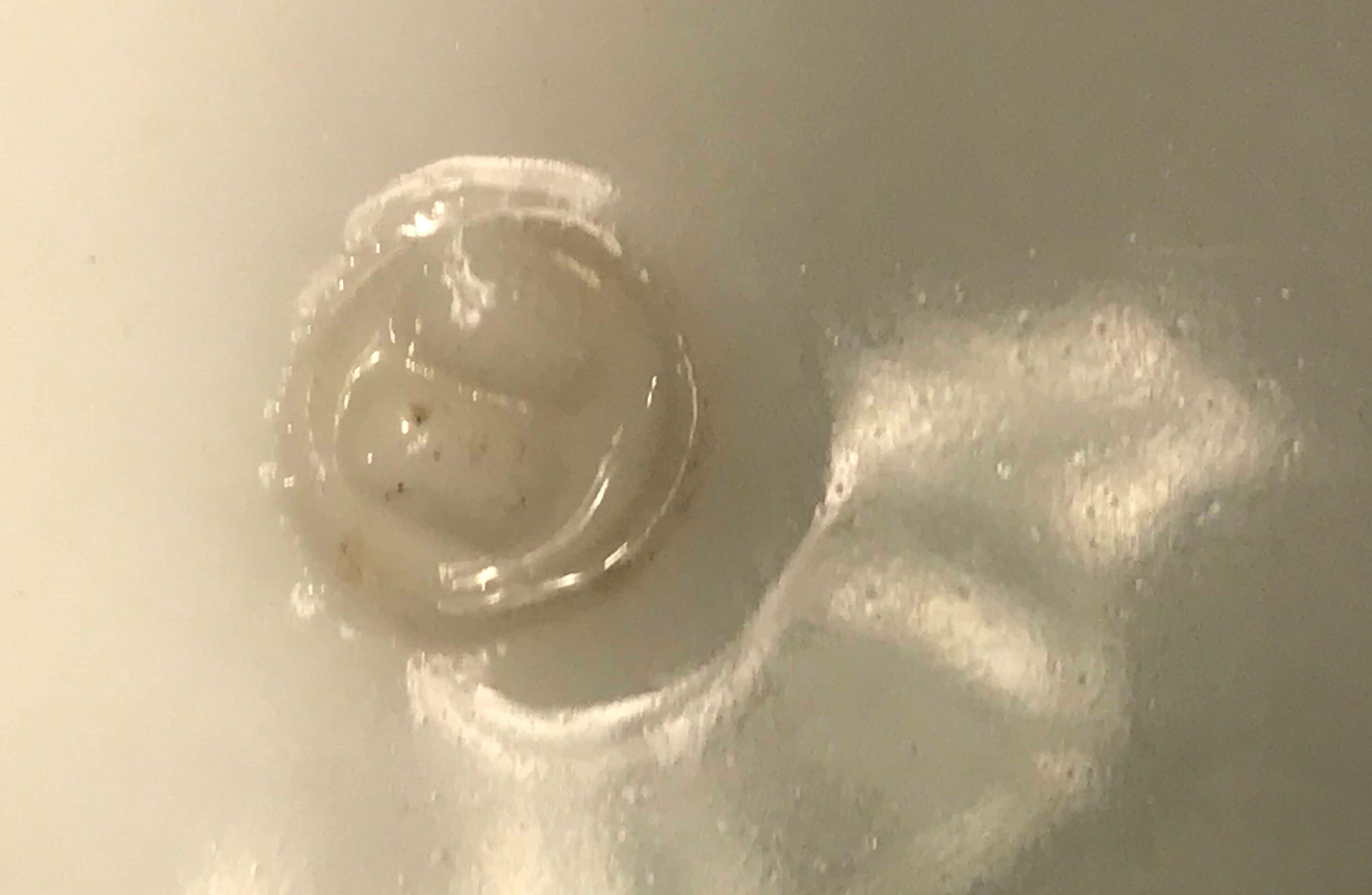 Vintage Lackawanna Railroad Pottery Platter 1910 - Etsy