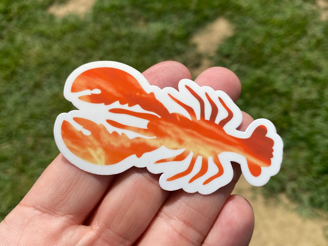 Red Lobster Sticker - Coastal Lobster Laptop or Water Bottle Decal ...