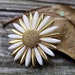 Vintage Gold Flower Buttons,(choose Style & Size) 6 or 8 Pieces ,high ...