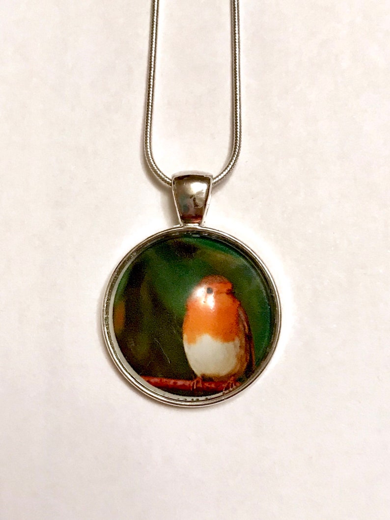 Robin Necklace Robin Redbreast Robin Gift Bird Jewellery - Etsy