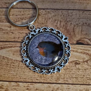 Robin Gift, Robin Keyring, Robins Appear, Robin Red Breast - Etsy