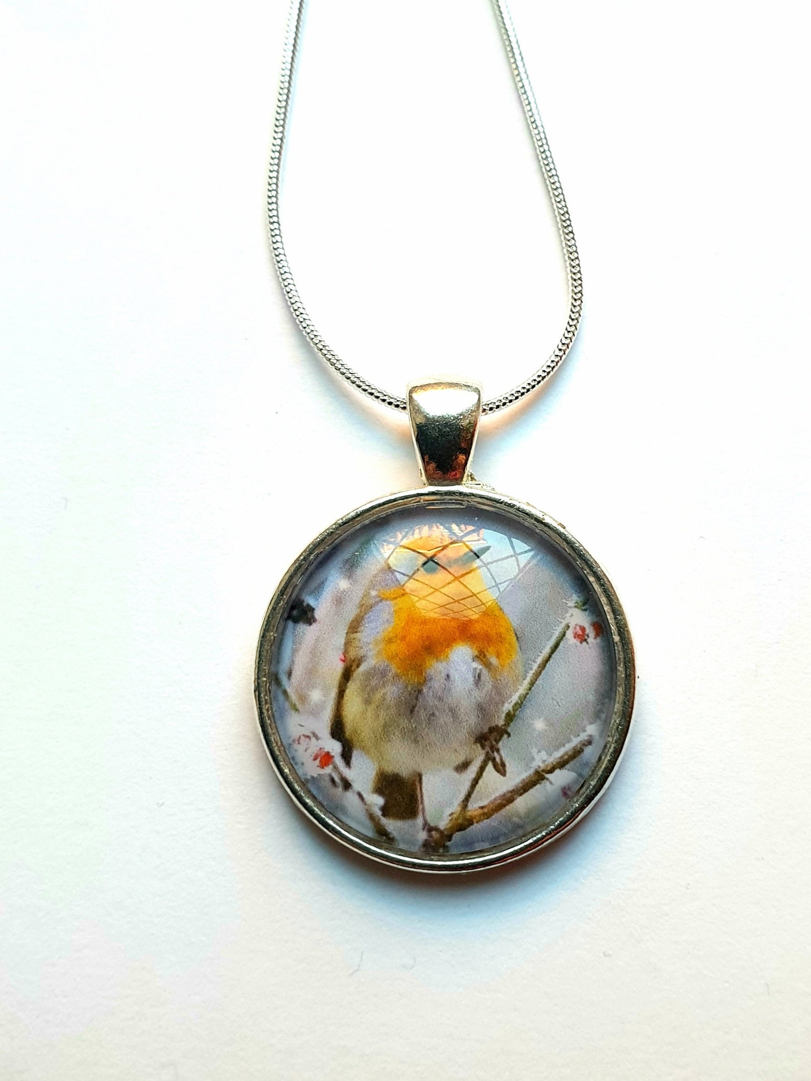 Robin Necklace Robin Redbreast Robin Gift Bird Jewellery - Etsy