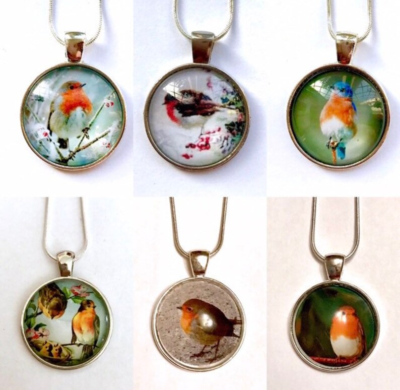 Robin Necklace Robin Redbreast Robin Gift Bird Jewellery - Etsy