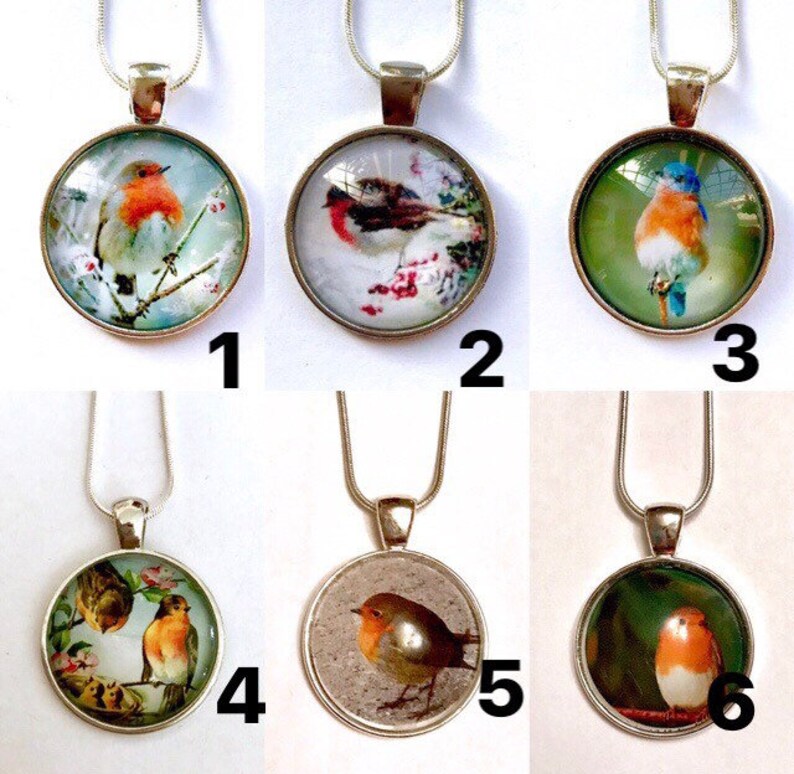 Robin Necklace Robin Redbreast Robin Gift Bird Jewellery - Etsy