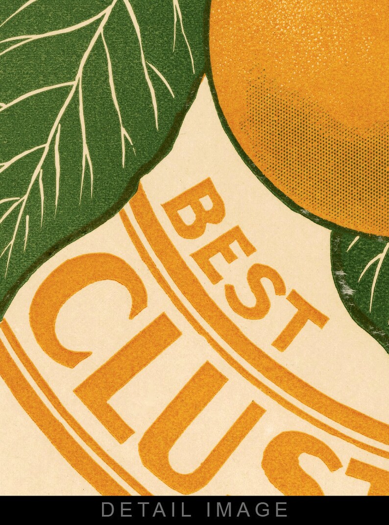 Chase & Company Cluster Brand Sanford Florida vintage - Etsy