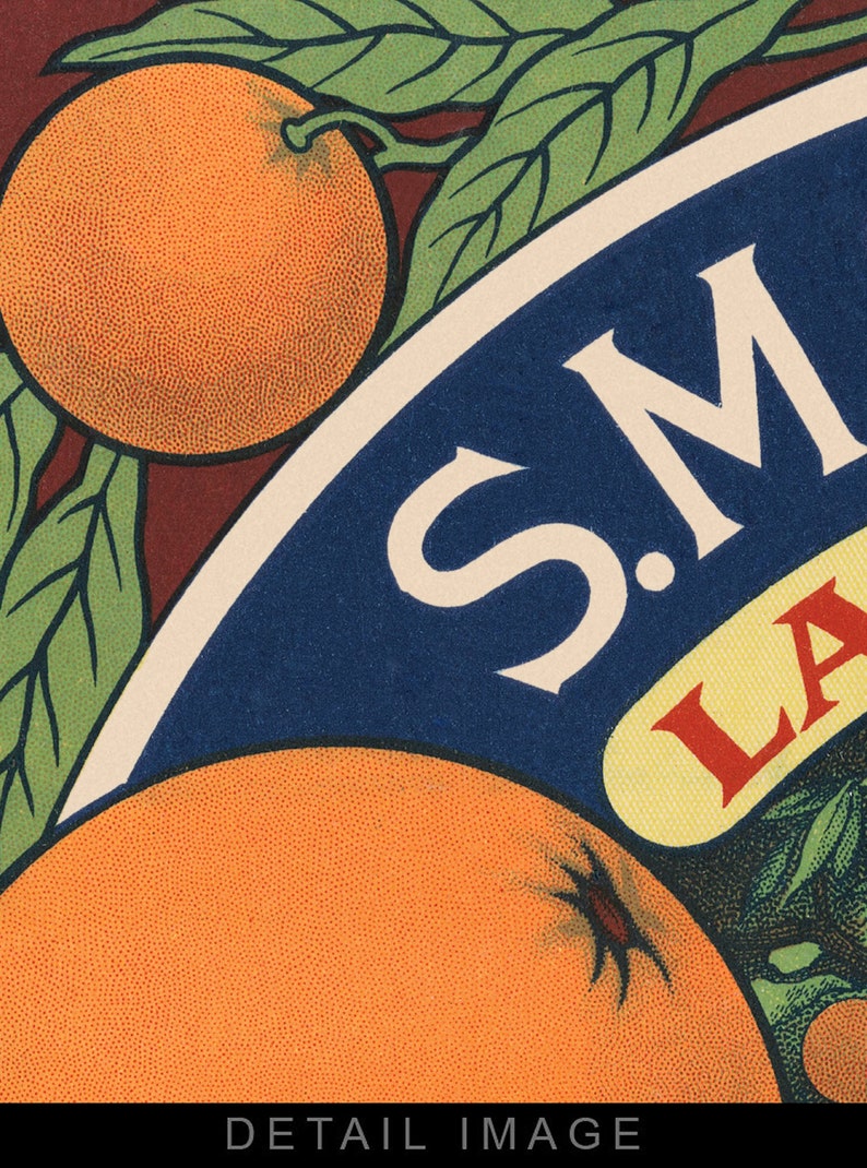 S.M. Stephens Oranges & Grapefruit Lakeland Florida - Etsy