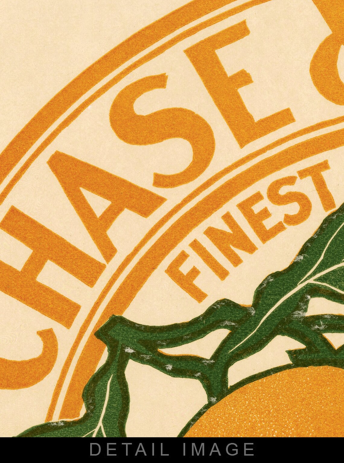 Chase & Company Cluster Brand Sanford Florida vintage - Etsy