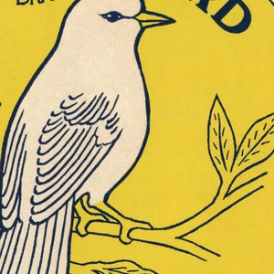 Mockingbird Brand – Oranges & Grapefruit – Citra, Florida (vintage ...