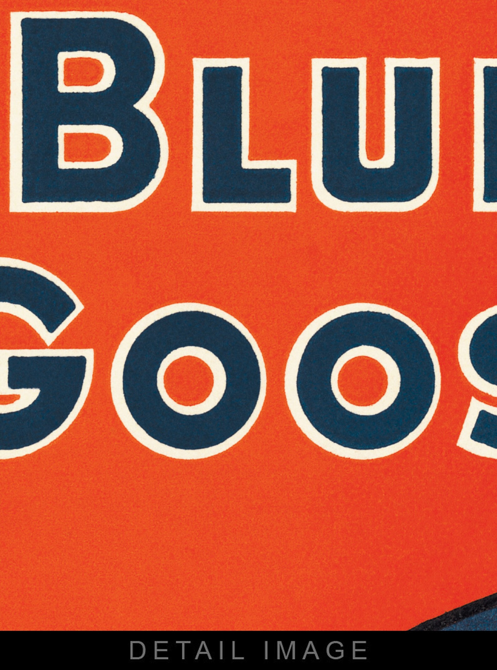 Blue Goose – Orlando, Florida – Citrus Fruit (vintage Fruit Crate Label ...