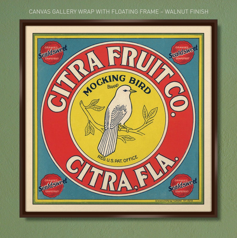 Mockingbird Brand – Oranges & Grapefruit – Citra, Florida (vintage ...