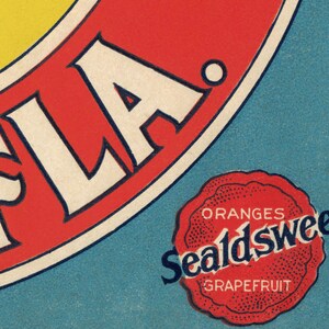 Mockingbird Brand – Oranges & Grapefruit – Citra, Florida (vintage ...