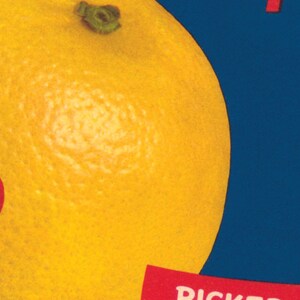 Snoboy Brand – Grapefruit – Lakeland, Florida (vintage Fruit Crate ...