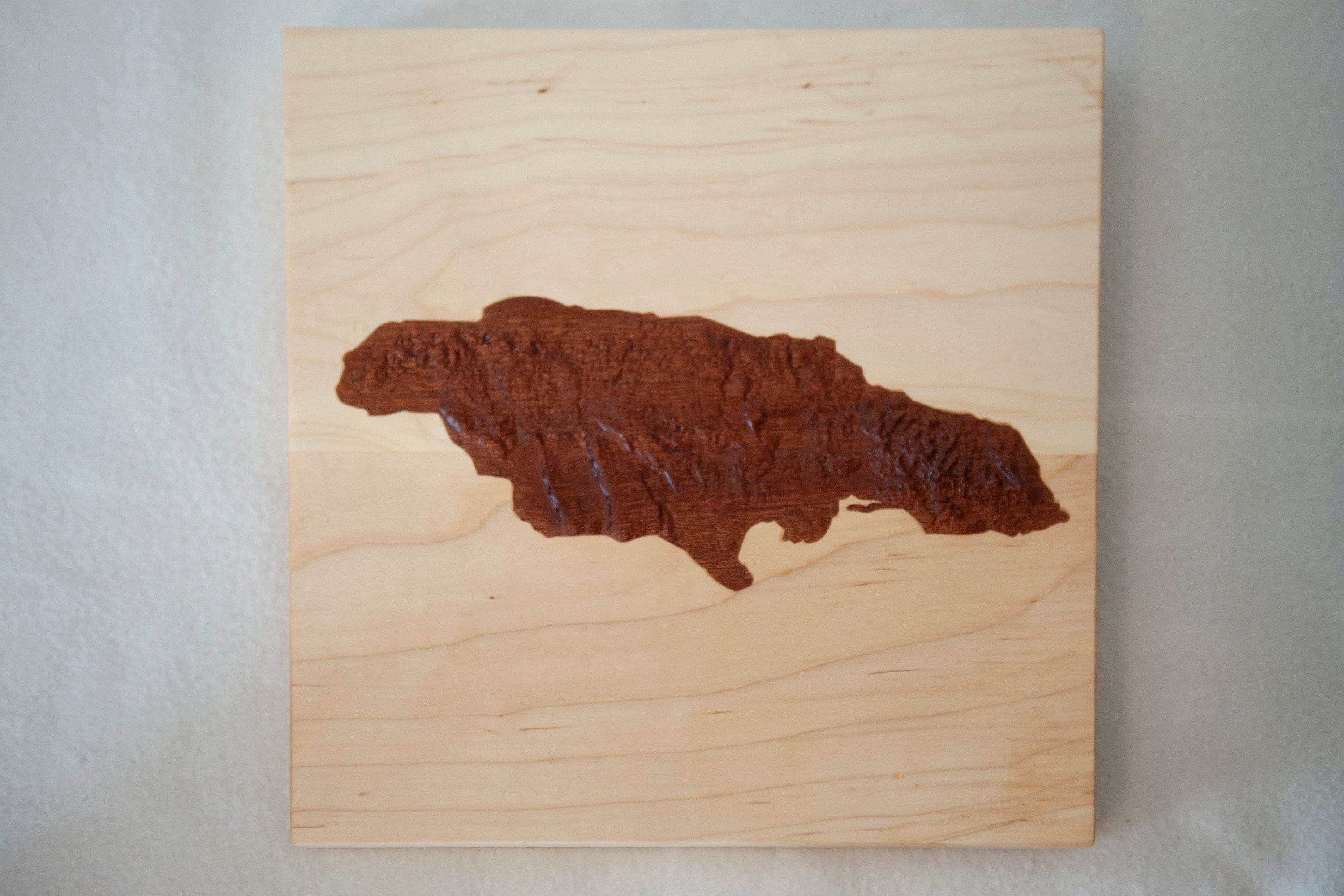 Custom Topographic Relief Island Map - Etsy