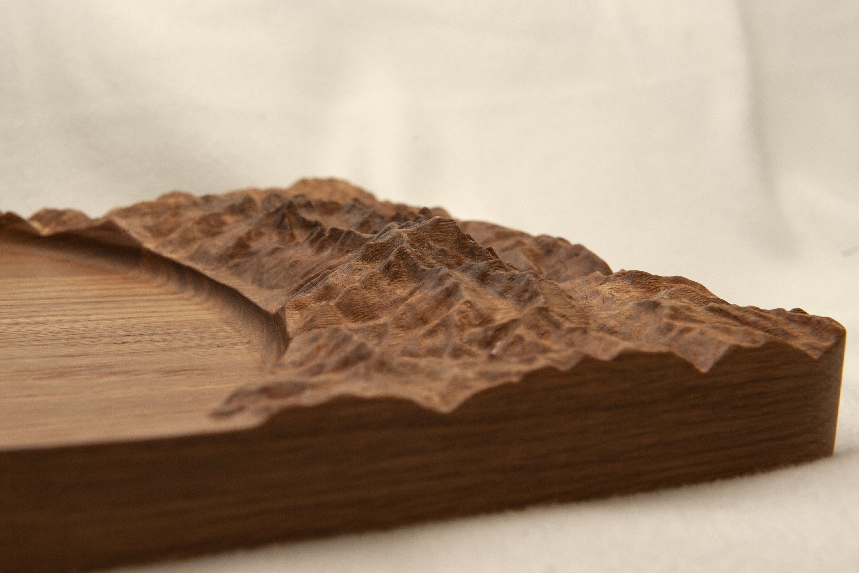 Custom Tray With Topographical Map - Etsy