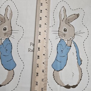 The Tale of Peter Rabbit - Peter Rabbit and Friends Softie Panel by ...
