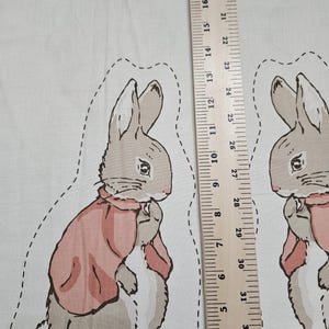 The Tale of Peter Rabbit - Peter Rabbit and Friends Softie Panel by ...