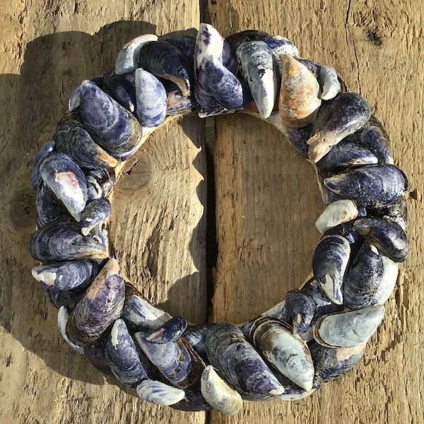 Mussel Shell Art - Etsy UK