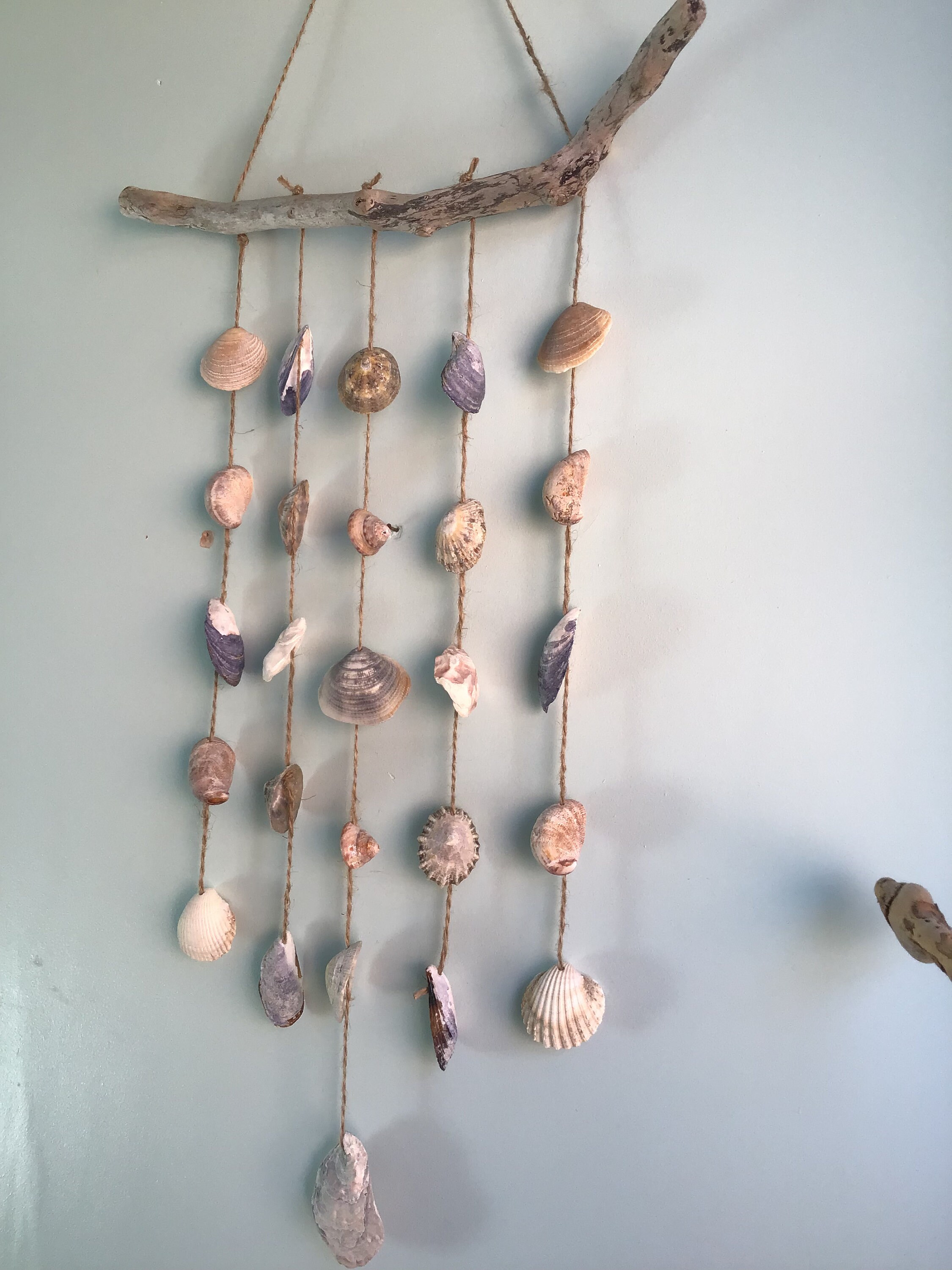 Seashell Mobile - Etsy
