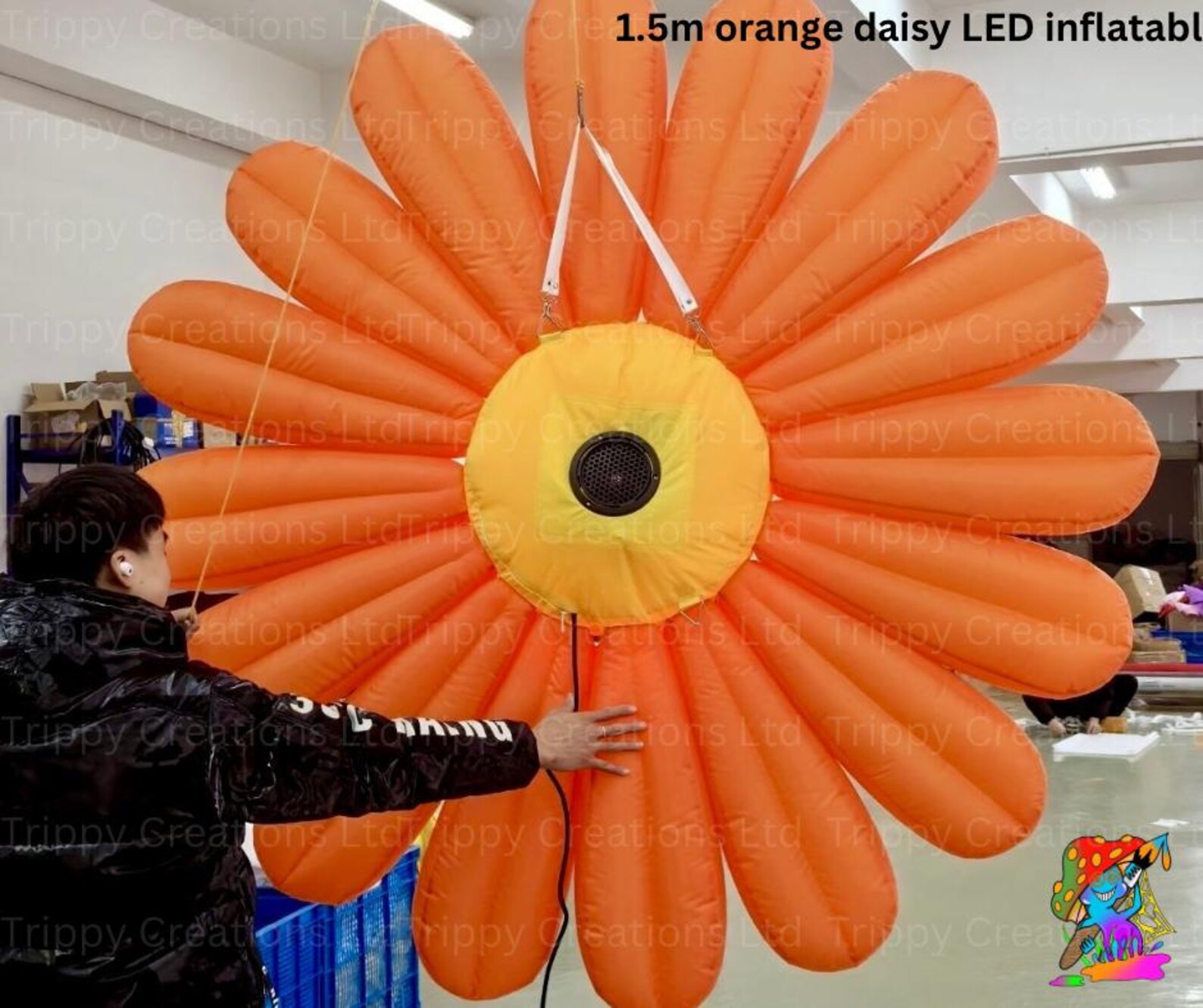 Giant LED Inflatable Daisy Party Prop, Daisy Party Decor, Daisy ...