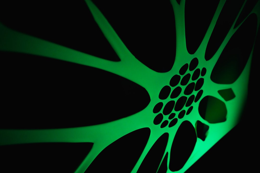 UV Floral Cut Stretch Decor , Hippy Room Decor, Trippy Wall Hanging ...