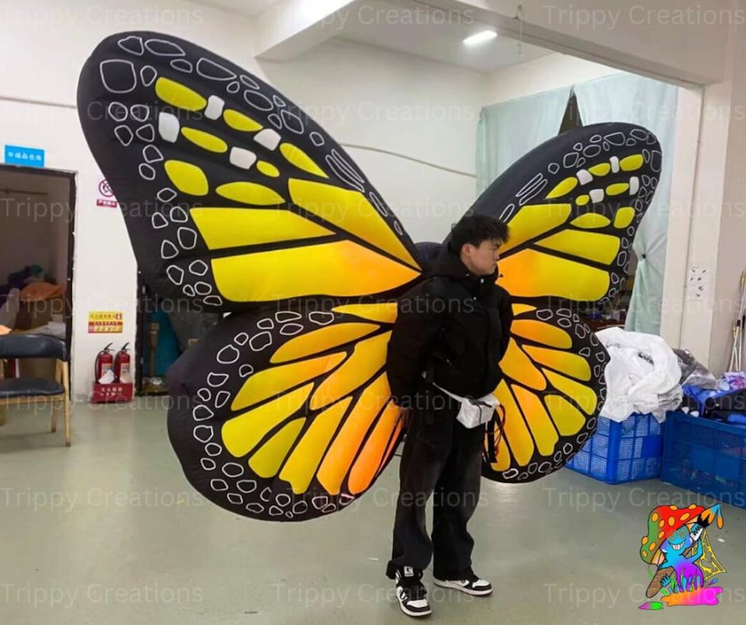 Festival Parade Outfit, Butterfly Wings Costume, Festival Walk About ...