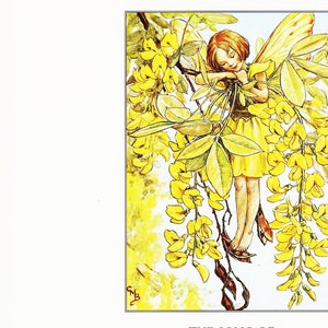 Flower Fairy Print Vintage Fairy Art for Nursery Wall Print "laburnum ...