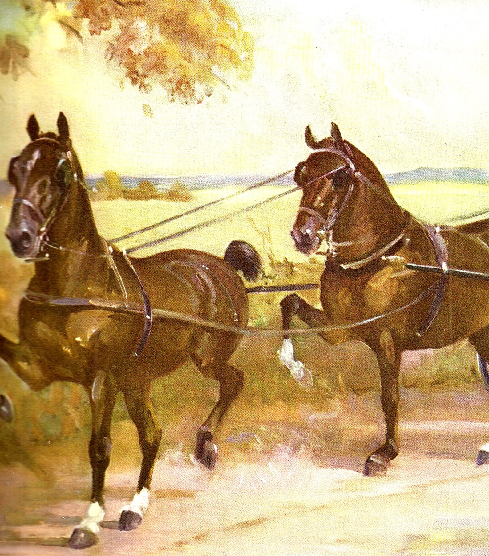 Vintage Horse Art Equestrian Decor Nursery Print hackney - Etsy