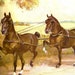 Vintage Horse Art Equestrian Decor Nursery Print hackney Horse Team by ...