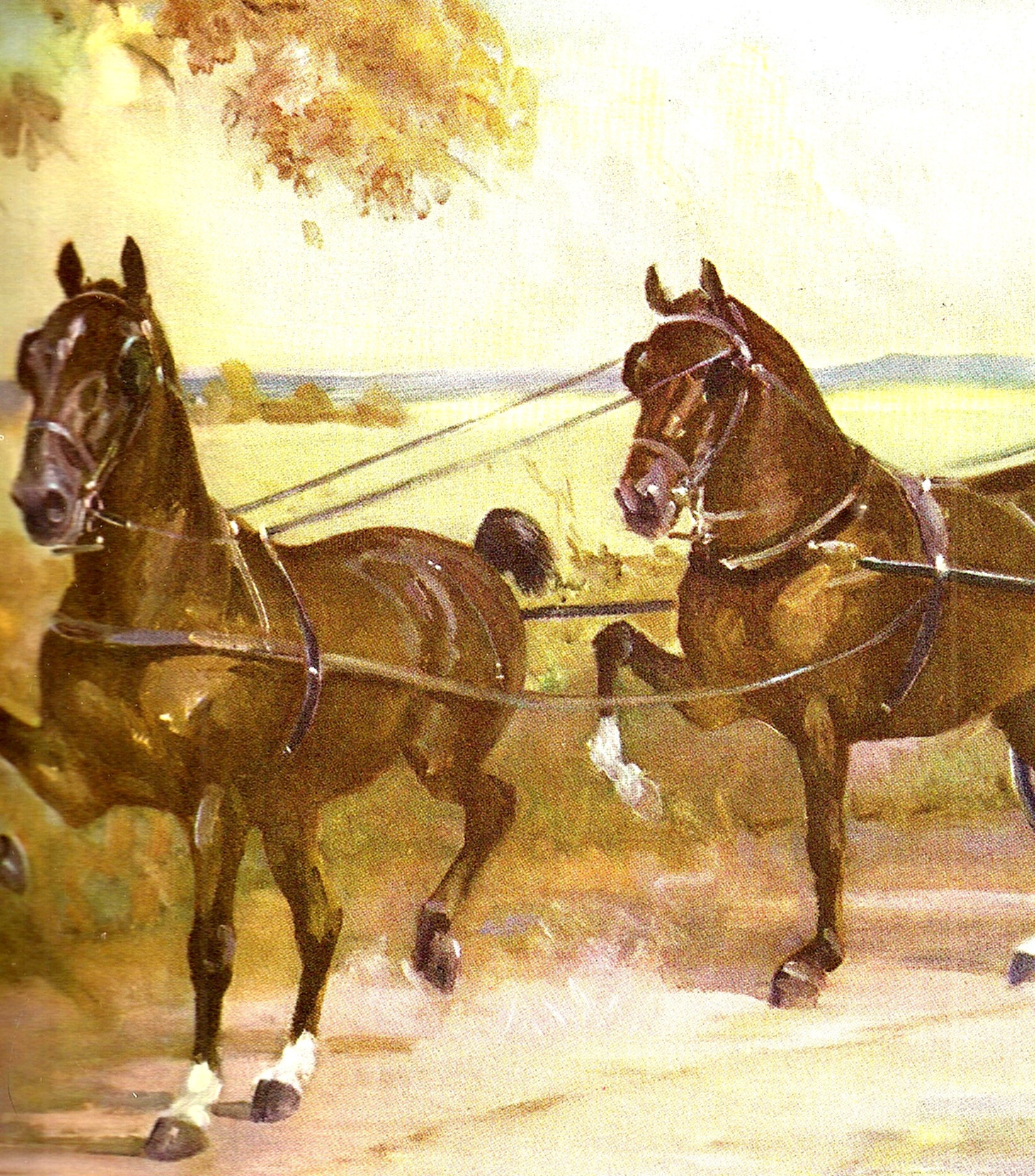 Vintage Horse Art Equestrian Decor Nursery Print hackney - Etsy