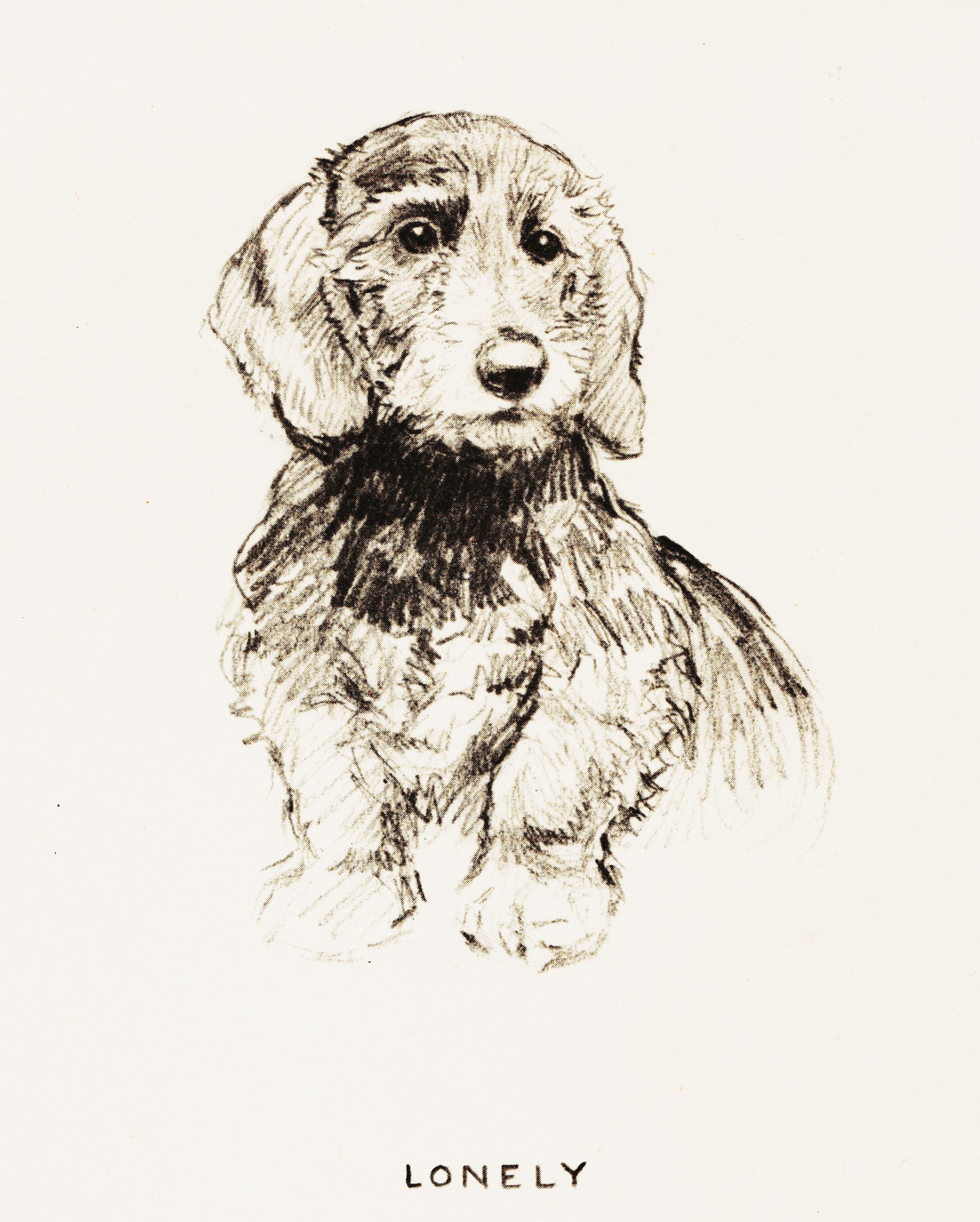Vintage Dog Drawings