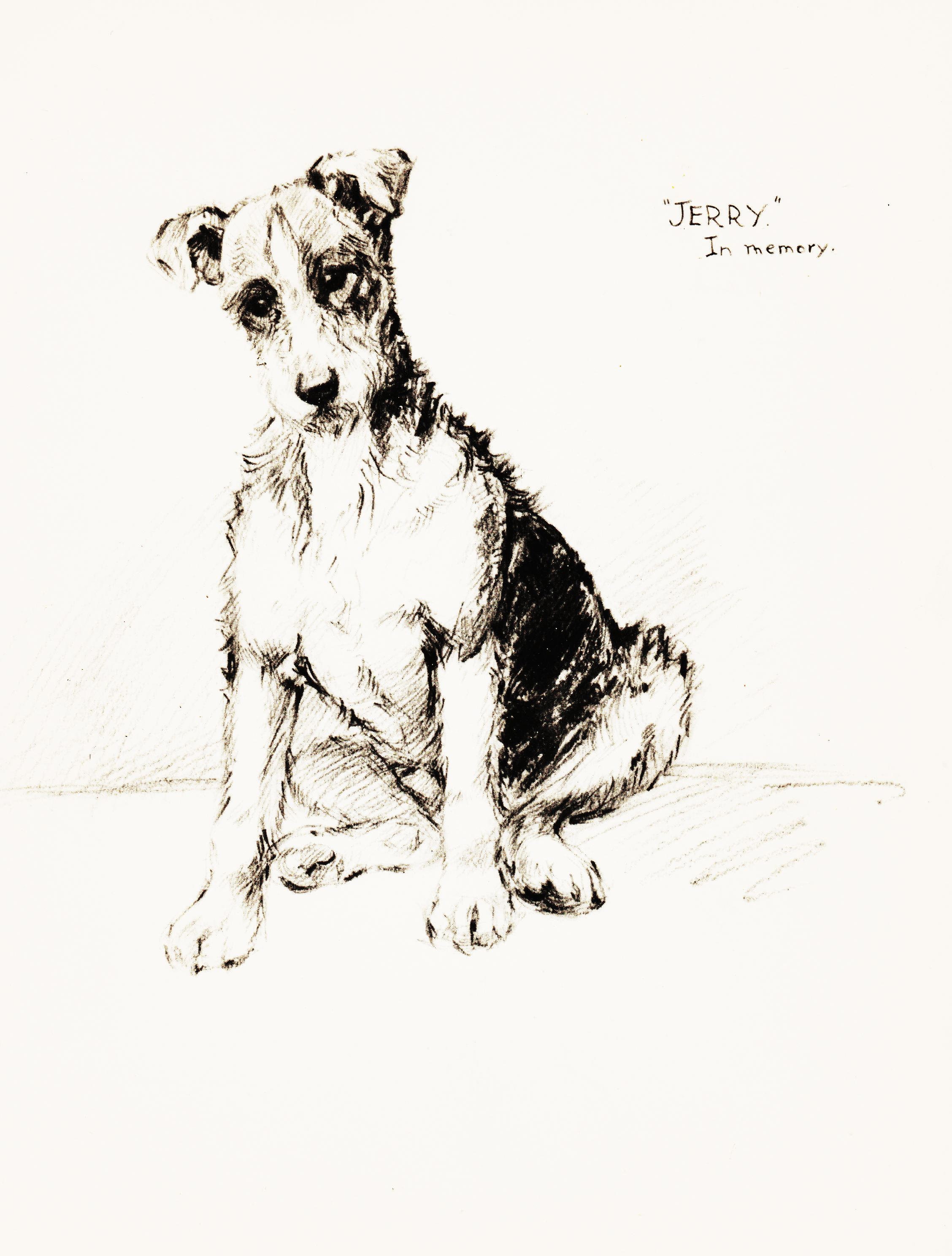 Vintage Dog Drawings