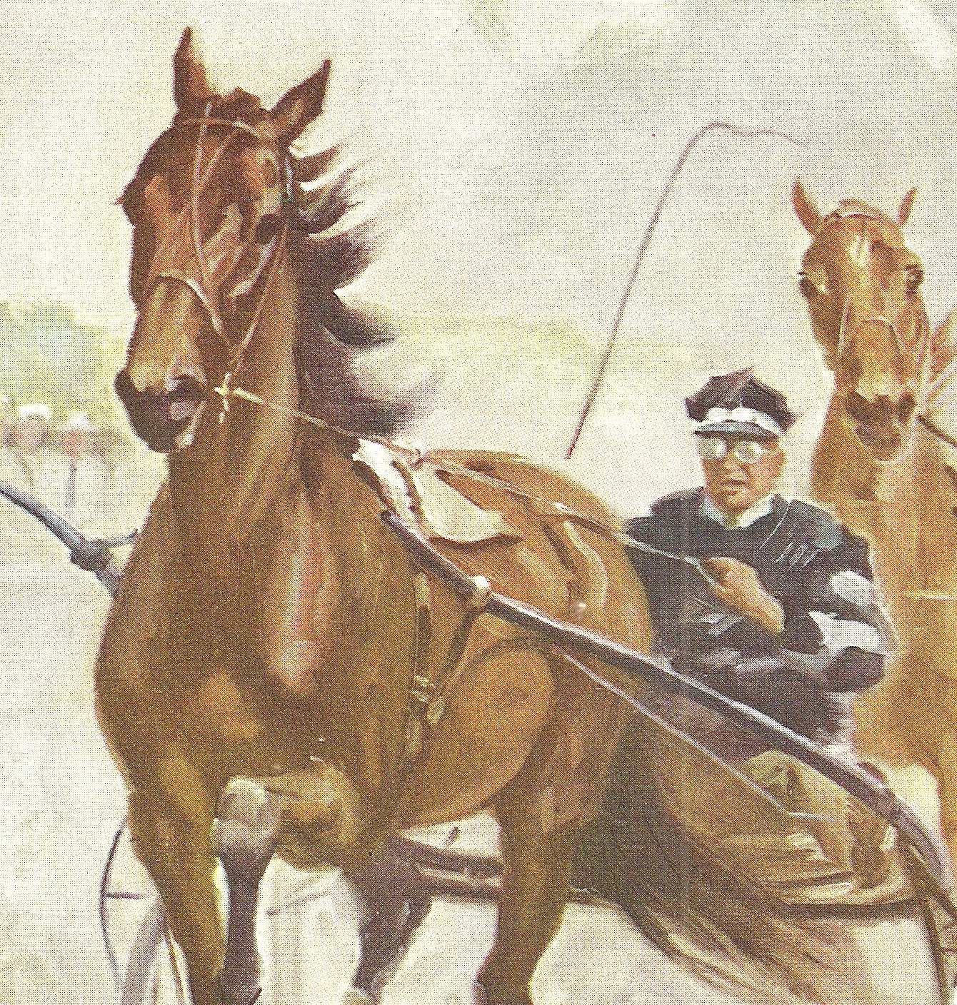 Vintage Horse Art Equestrian Decor Horse Nursery Print - Etsy